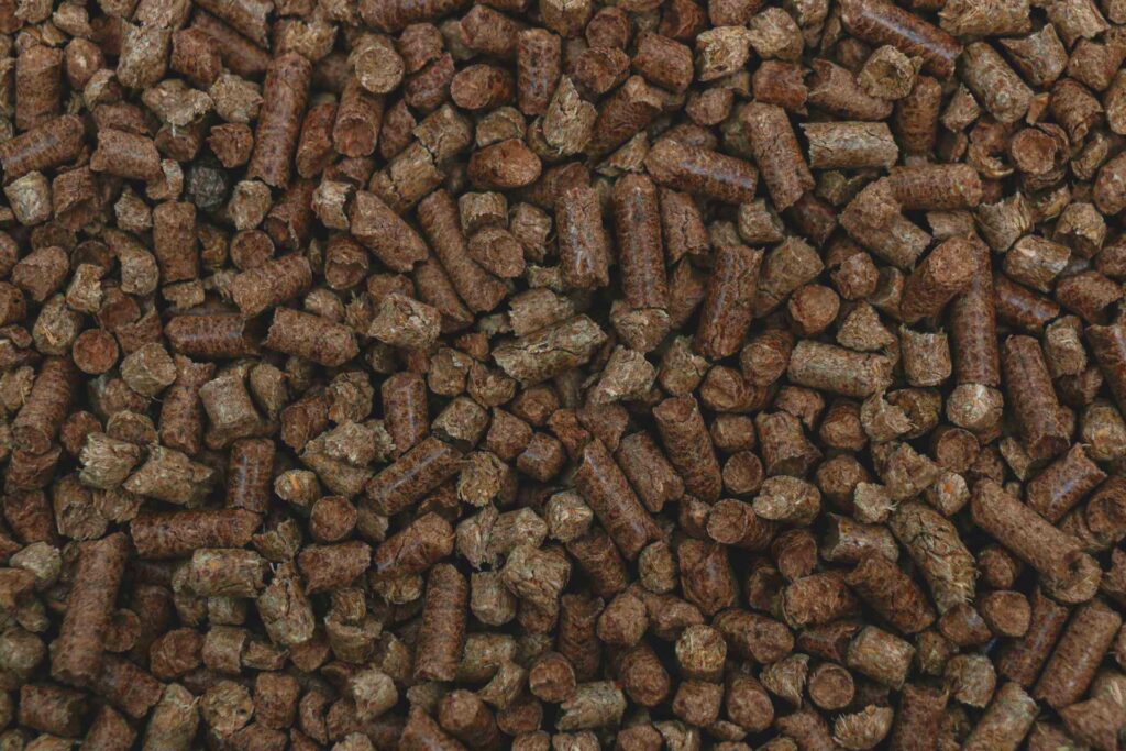 Miscanthus pellets | Orange Elephants