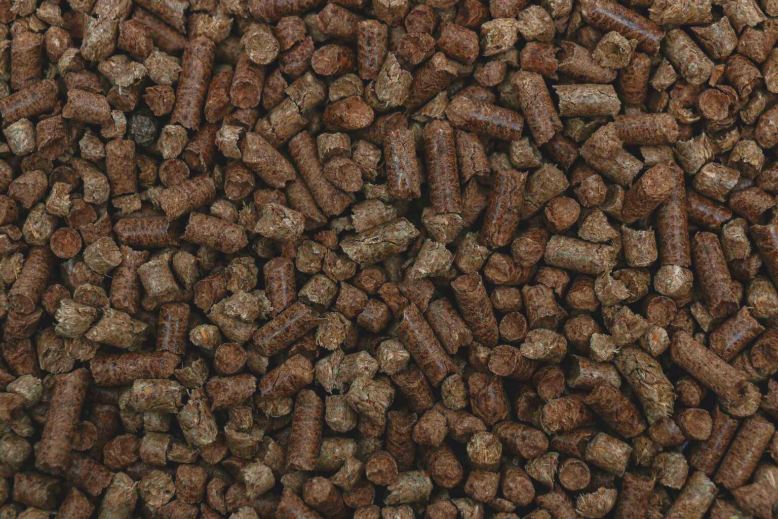 Miscanthus pellets | Orange Elephants